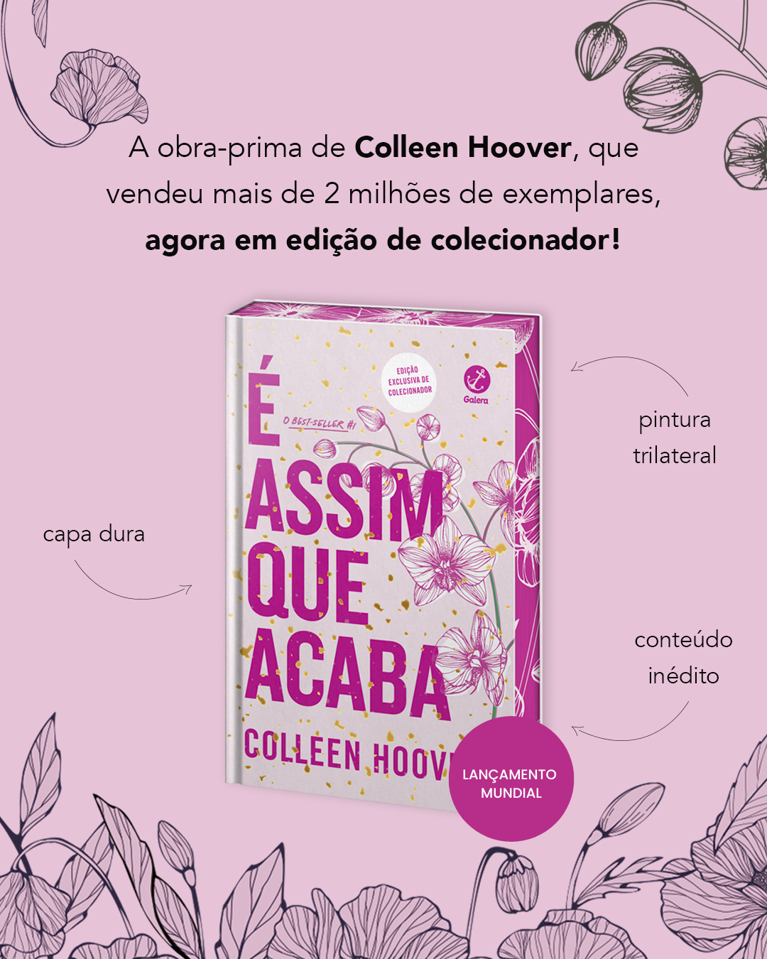 Pré-venda: É assim que acaba – edição de colecionador – Meu Romeo